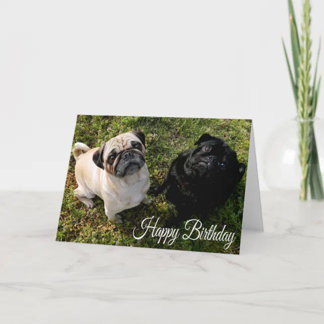 Happy Birthday Pug Puppy Dog Greeting Card | Zazzle