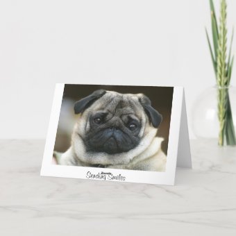 Happy Birthday Pug Puppy Dog Greeting Card - Verse | Zazzle