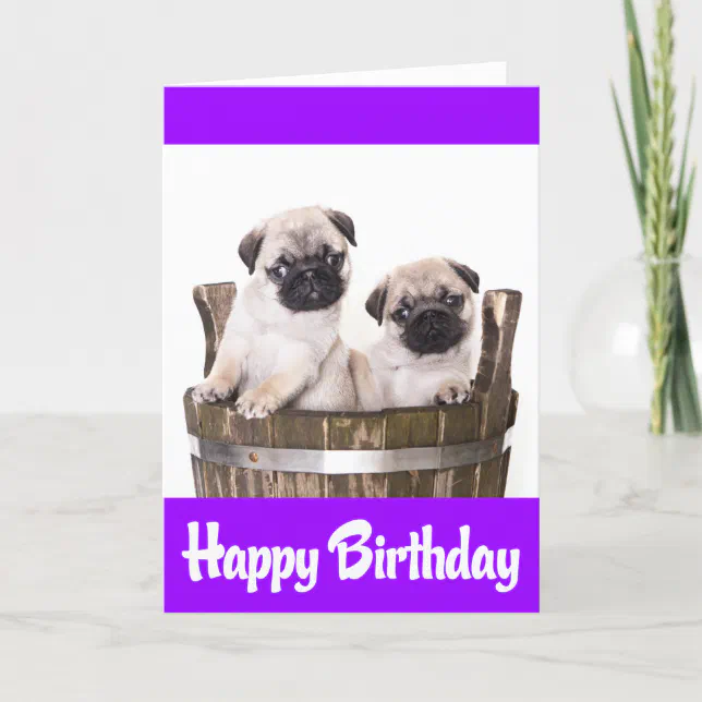Happy Birthday Pug Puppy Dogs Greeting Card Verse | Zazzle