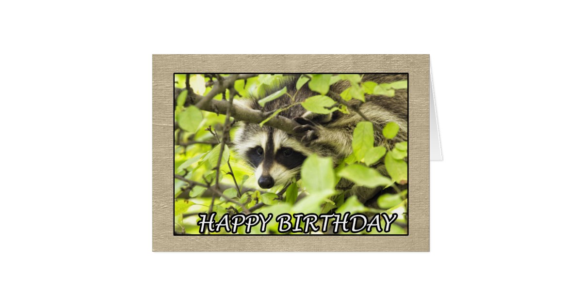 Happy Birthday Raccoon In Tree Card | Zazzle.com