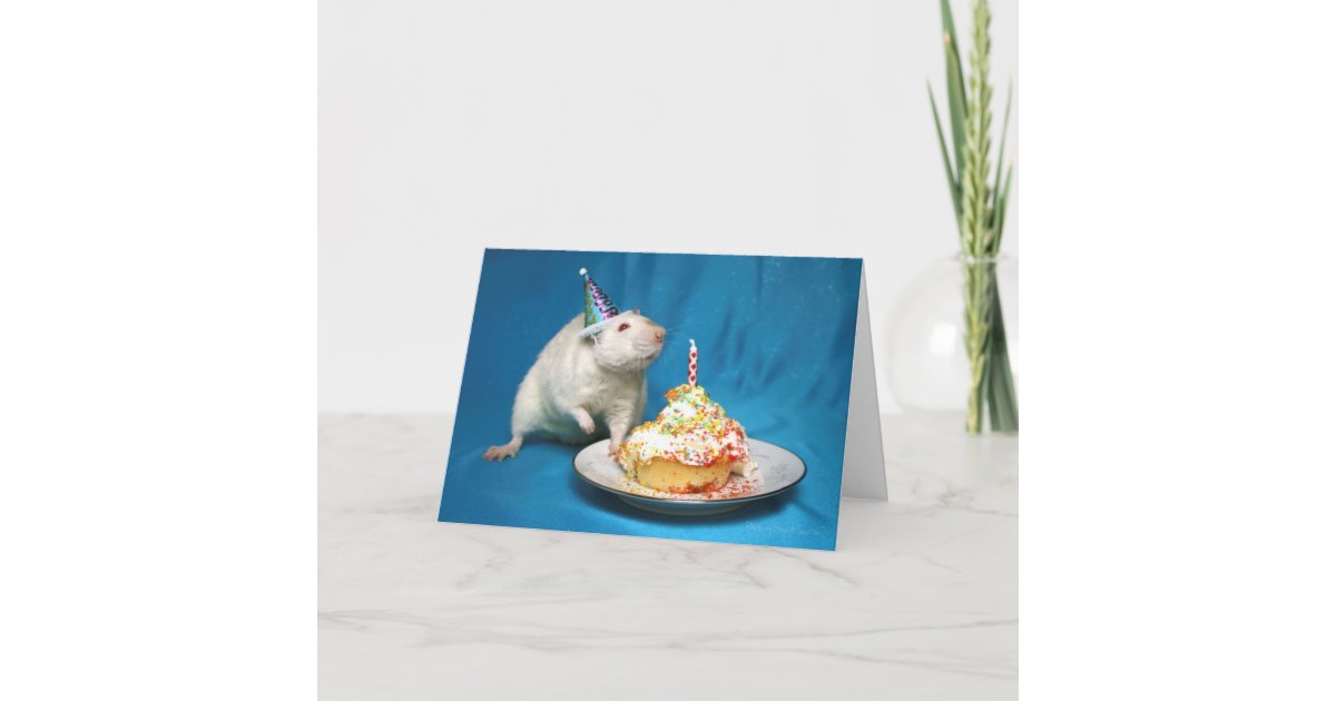 Happy Birthday Rat Card | Zazzle