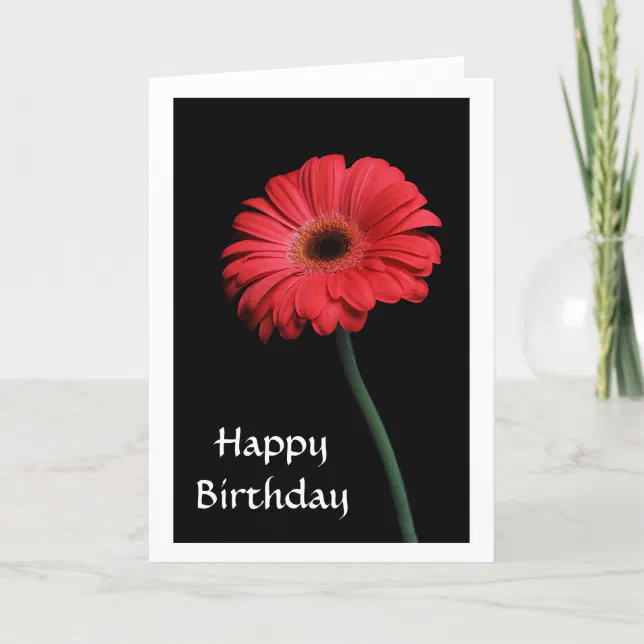 Happy Birthday Red Gerbera Daisy Greeting Card | Zazzle