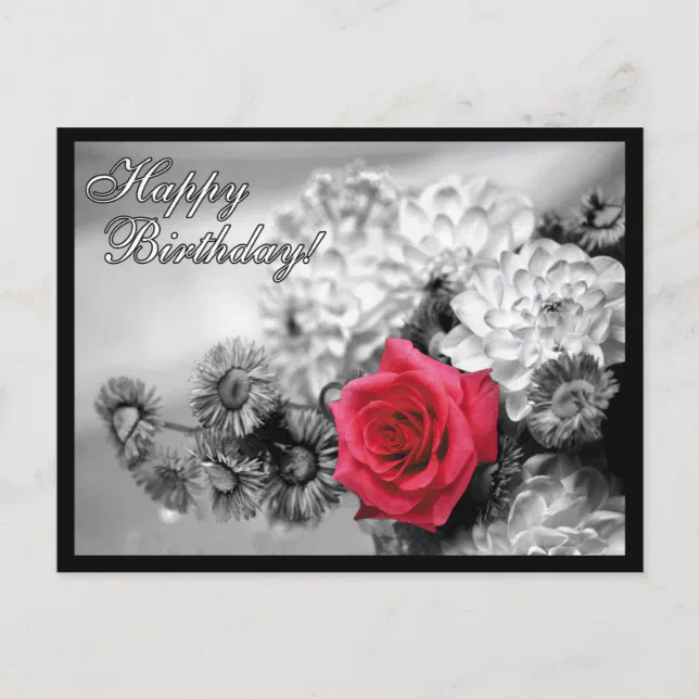 Happy Birthday! Red Rose with Black and White Postcard | Zazzle