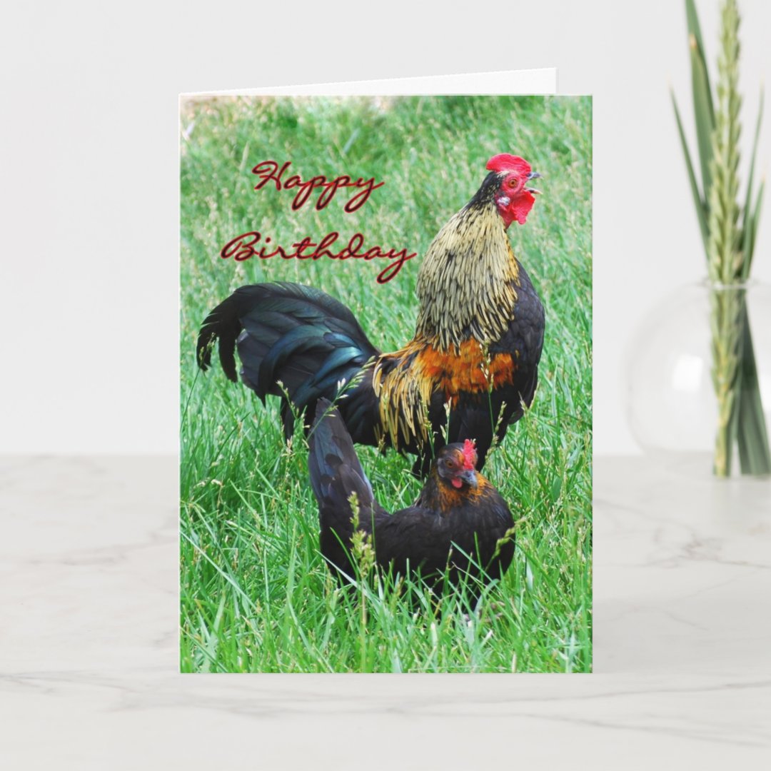 Happy Birthday Rooster and Hen Card | Zazzle