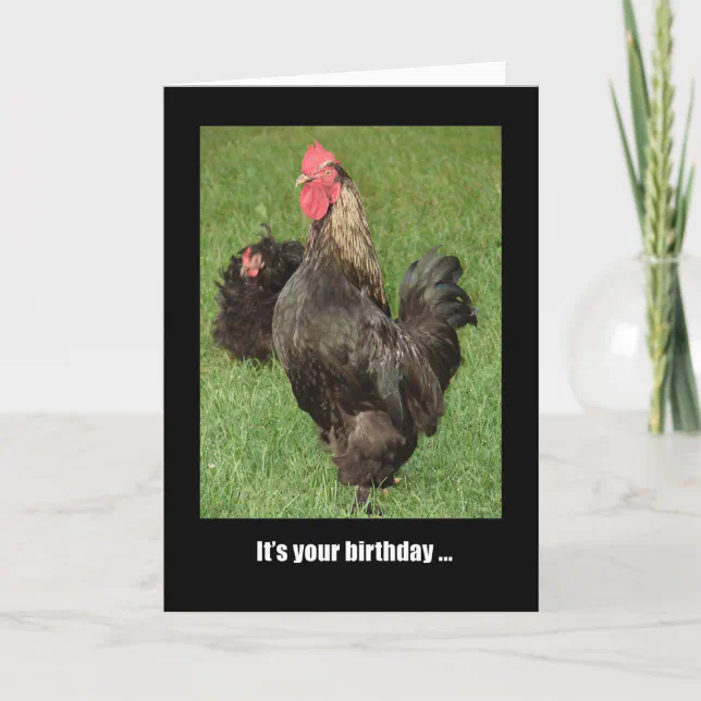 Happy Birthday Rooster, Strut Your Stuff! Card | Zazzle
