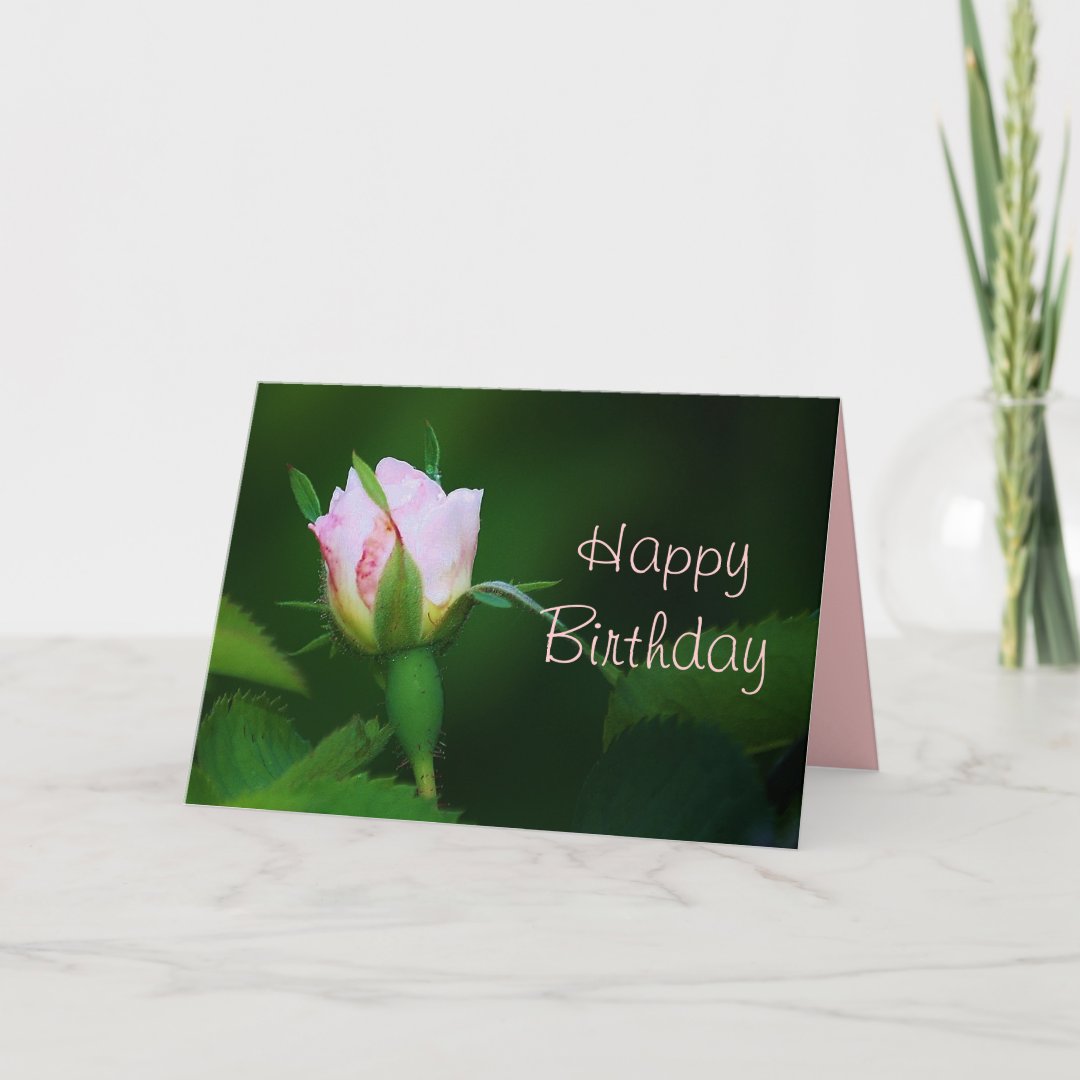 Happy Birthday Rosebud Card | Zazzle