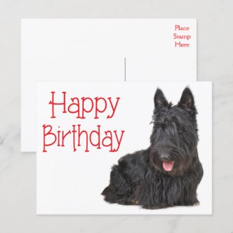 Happy Birthday Scottish Terrier Puppy Postcard | Zazzle
