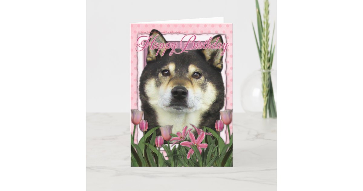 Happy Birthday - Shiba Inus - Yasha Card | Zazzle