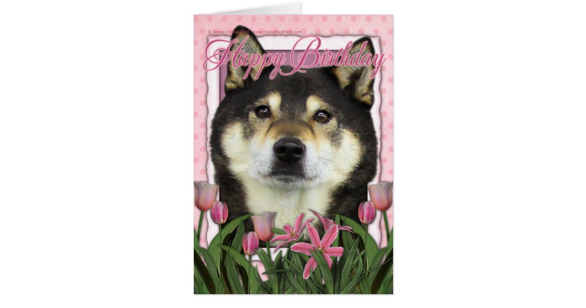 Happy Birthday - Shiba Inus - Yasha Card | Zazzle.com