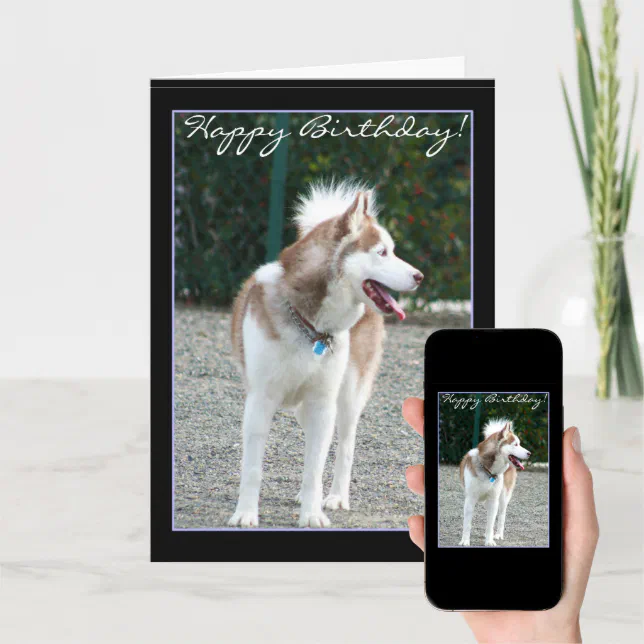 Happy Birthday Siberian Husky greeting card | Zazzle