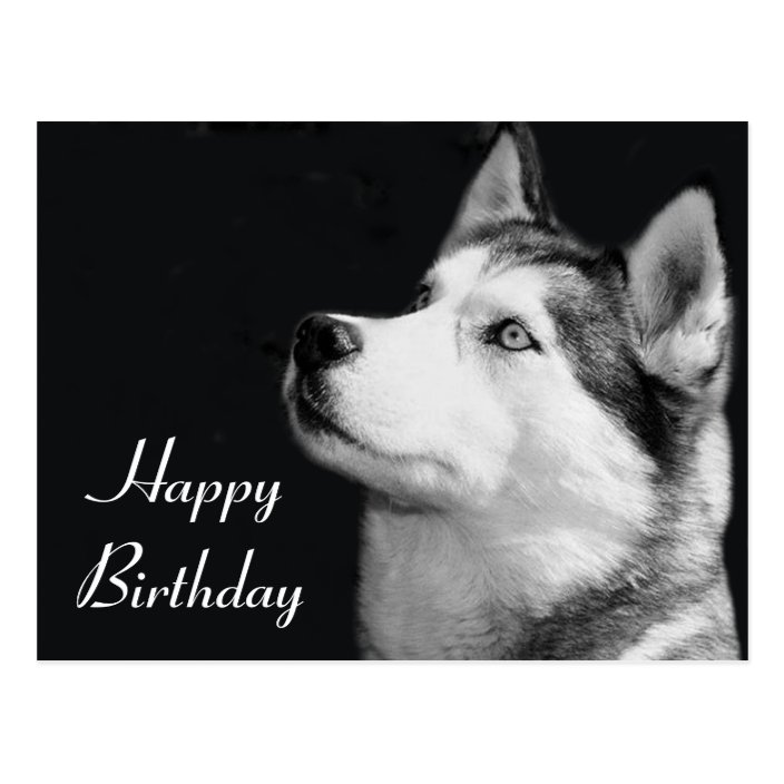 Happy Birthday Siberian Husky Puppy Dog Post Card | Zazzle.com