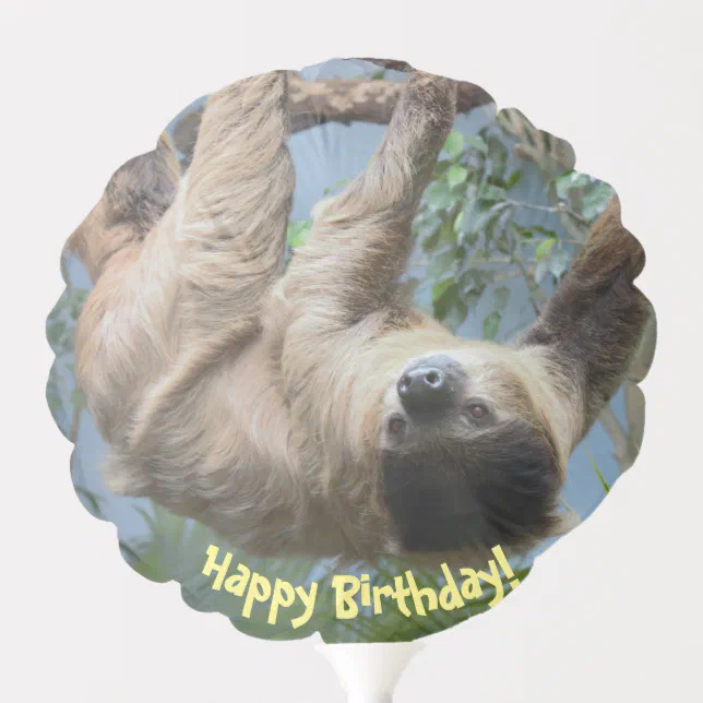 Happy Birthday Sloth Balloon | Zazzle