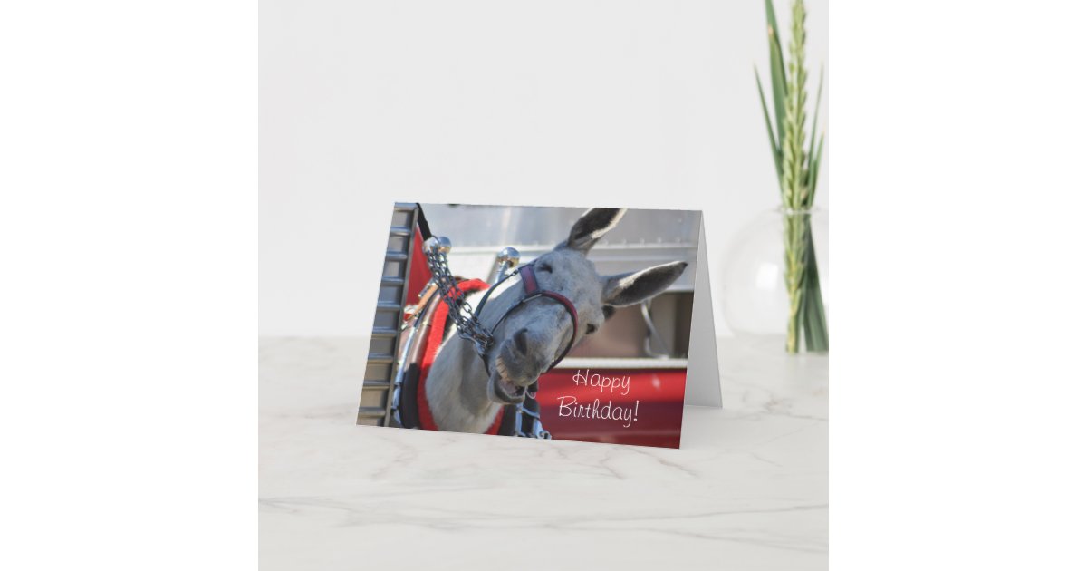 Happy Birthday Smiling Mule Card | Zazzle