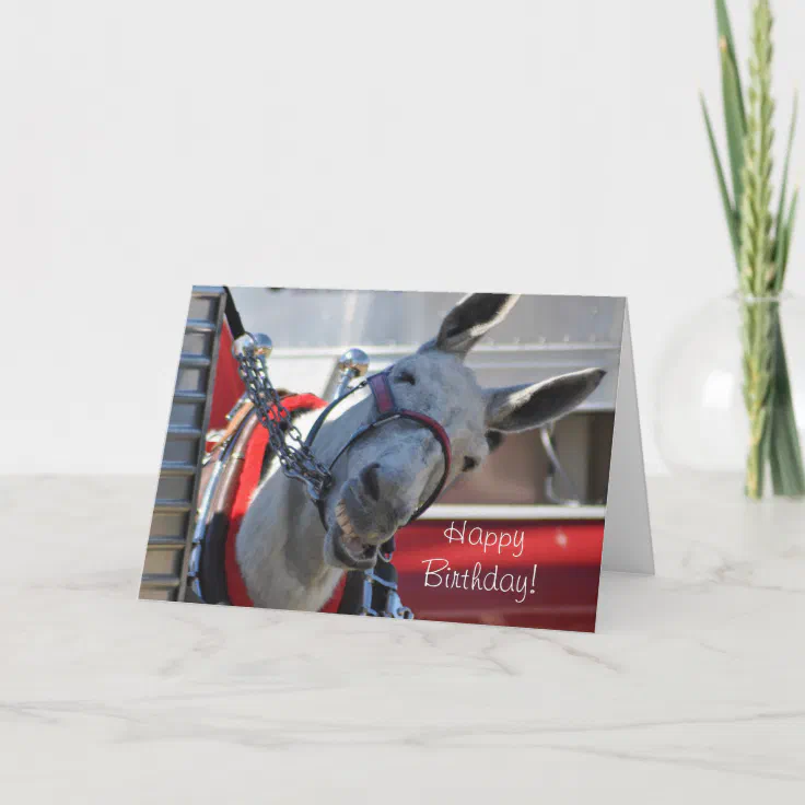 Happy Birthday Smiling Mule Card | Zazzle