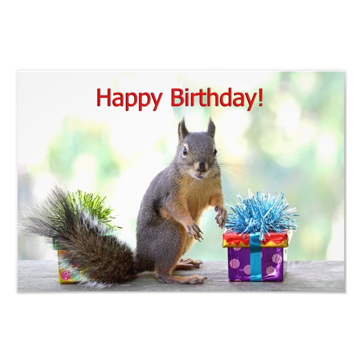 Happy Birthday Squirrel Photo Print | Zazzle