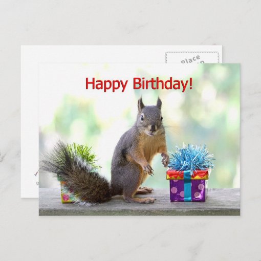 Happy Birthday Squirrel Postcard | Zazzle