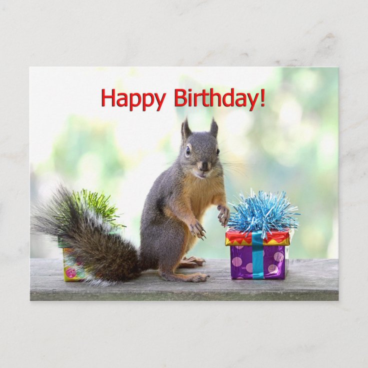 Happy Birthday Squirrel Postcard | Zazzle