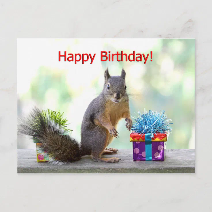 Happy Birthday Squirrel Postcard | Zazzle