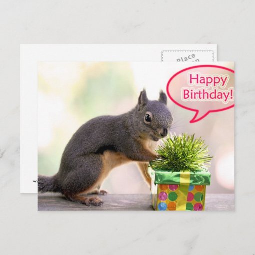 Happy Birthday Squirrel Postcard | Zazzle