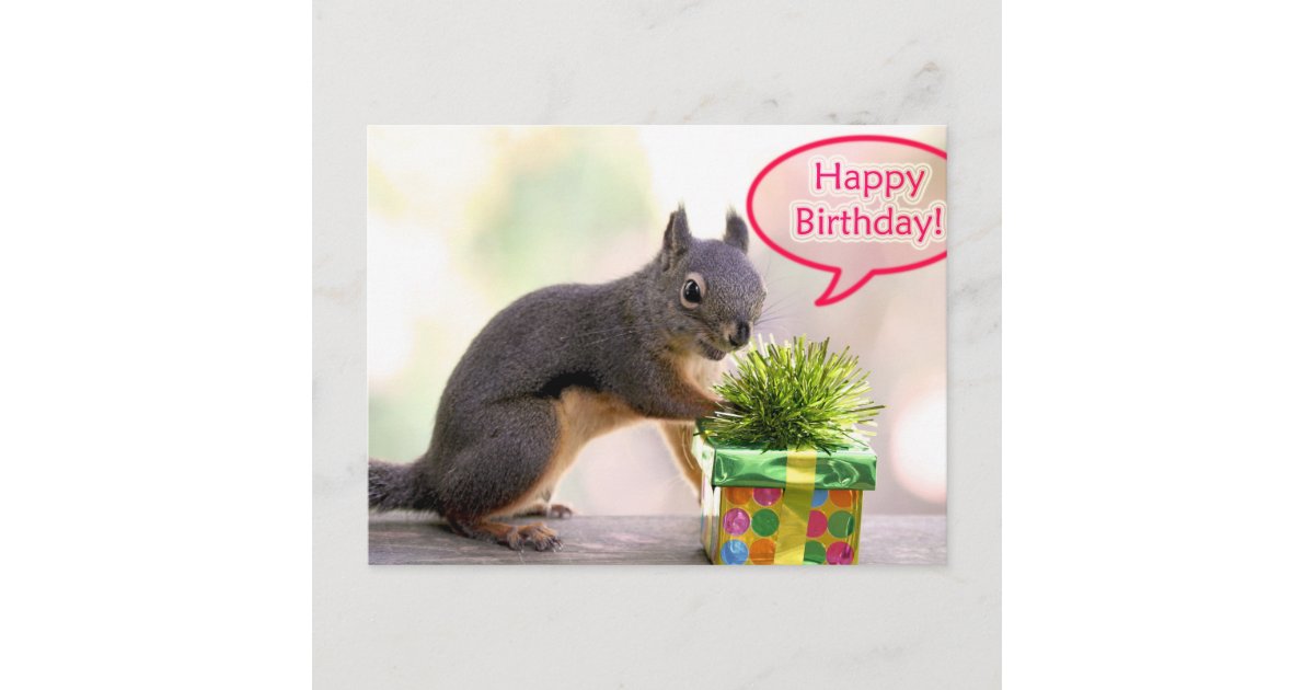 Happy Birthday Squirrel Postcard | Zazzle