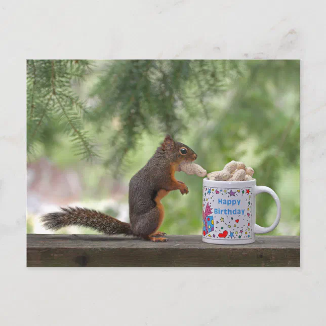 Happy Birthday Squirrel Postcard | Zazzle