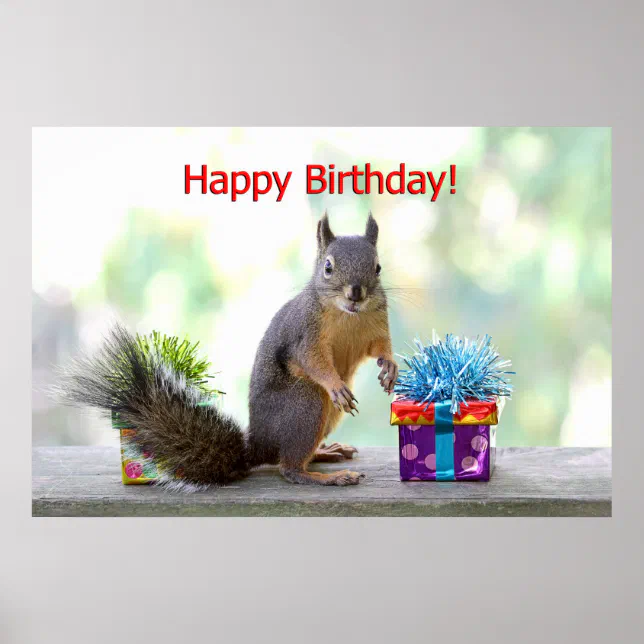 Happy Birthday Squirrel Poster | Zazzle