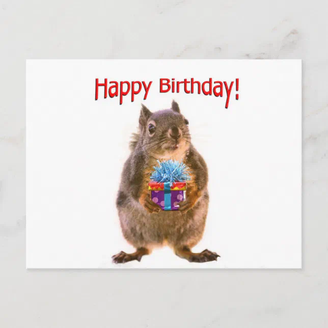 Happy Birthday Squirrel with Present Postcard | Zazzle