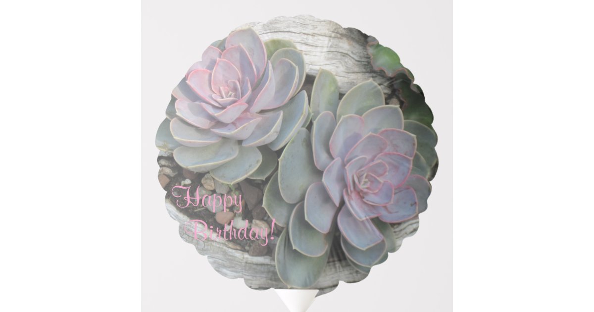 Happy Birthday Succulent Balloon | Zazzle