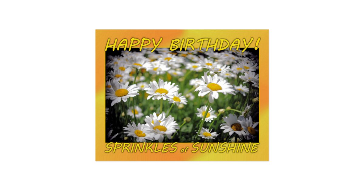 Happy Birthday Sunshine Postcard | Zazzle.com