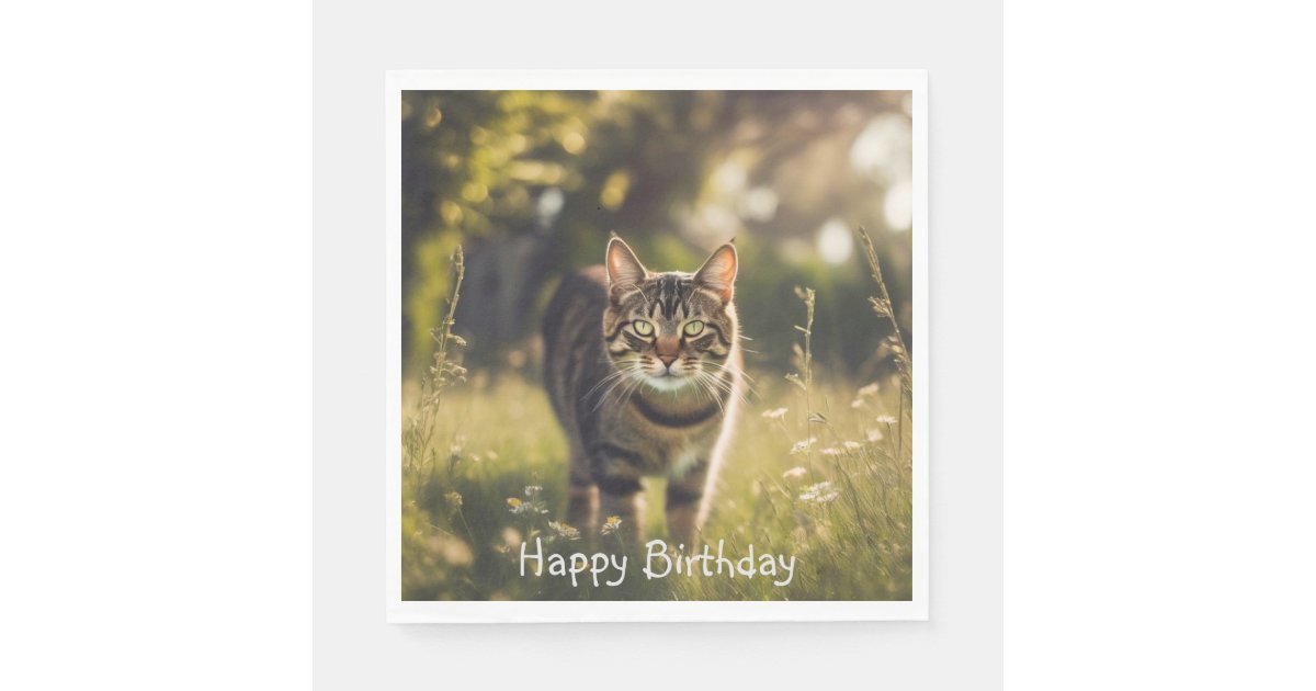 Happy Birthday Tabby Cat Napkins | Zazzle