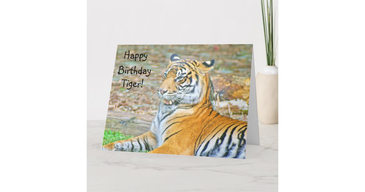 Happy Birthday Tiger Card | Zazzle
