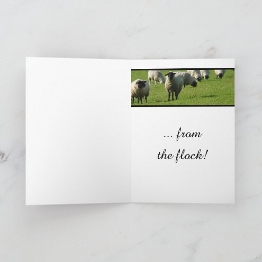 Happy Birthday to Ewe From the Flock! Customizable Card | Zazzle