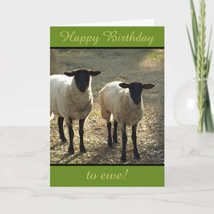 Happy Birthday to Ewe From the Flock! Customizable Card | Zazzle