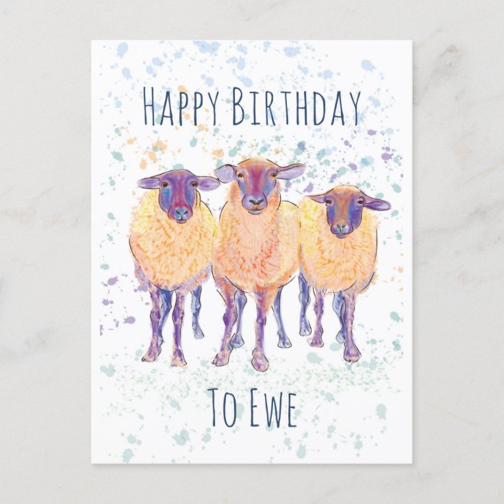 Happy Birthday To Ewe Postcard | Zazzle