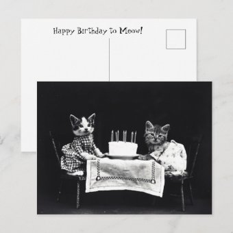 Happy Birthday to Meow | Kitties with Cake Postcard | Zazzle
