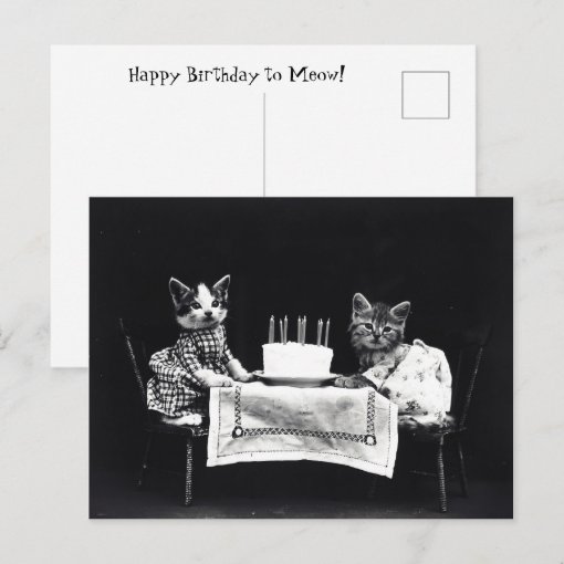 Happy Birthday to Meow | Kitties with Cake Postcard | Zazzle