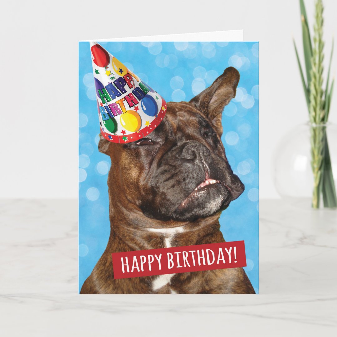 Happy Birthday to Party Animal Boxer Dog Card | Zazzle