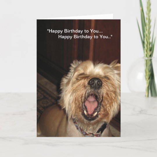 "Happy Birthday to You" - Singing Dog Card | Zazzle.com