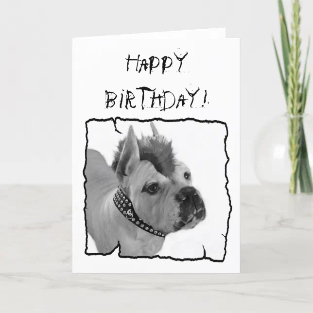 Happy Birthday White Boxer Punk greeting card | Zazzle