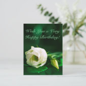 Happy birthday white rose on green postcard | Zazzle