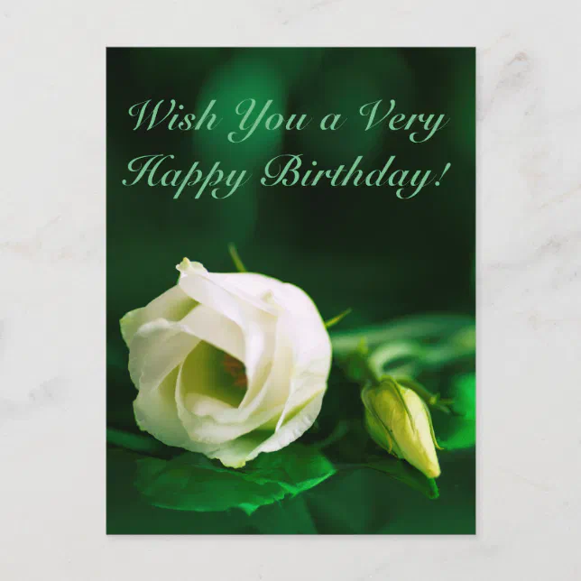 Happy birthday white rose on green postcard | Zazzle