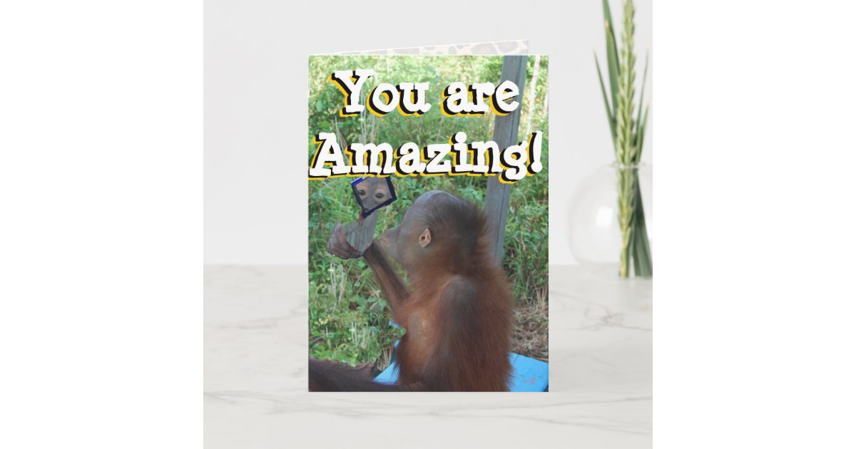 Happy Birthday Wild Thing Card | Zazzle
