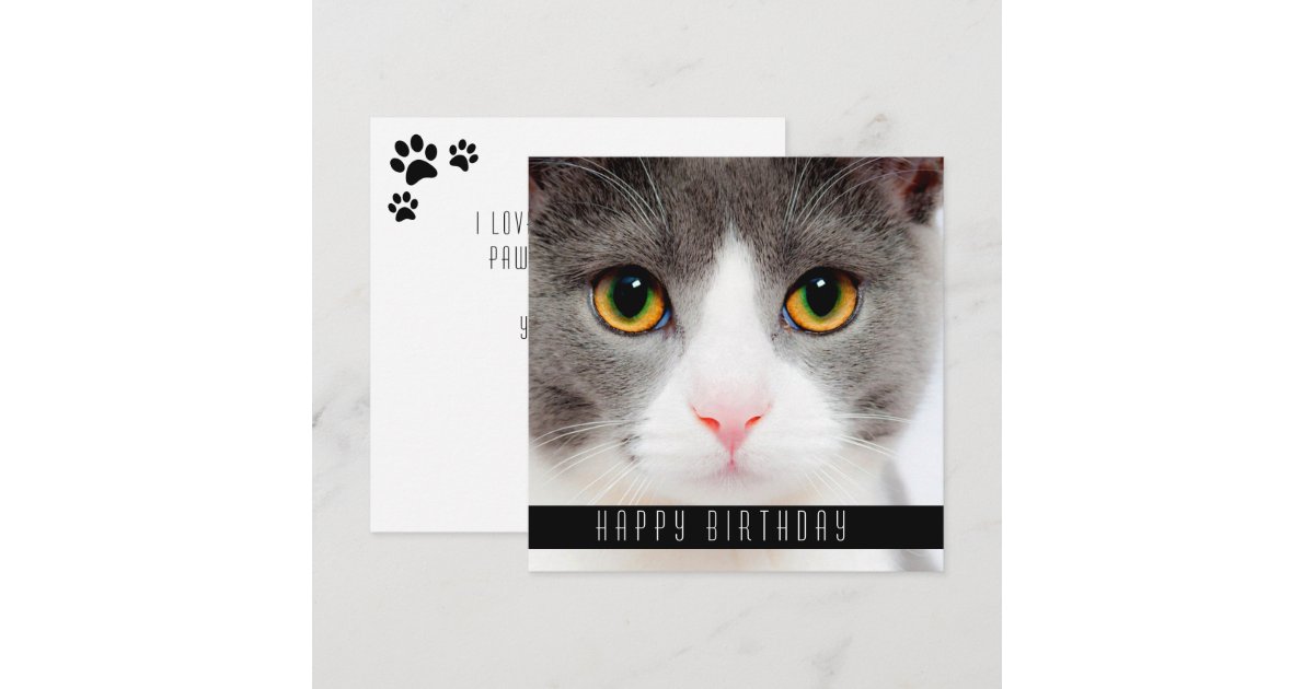 Happy Birthday Wishes Cats Announcement | Zazzle