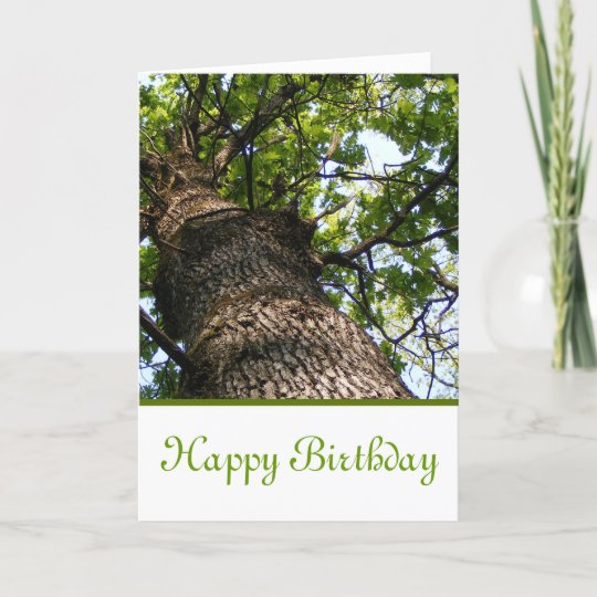 Happy Birthday with view looking up at a tree Card | Zazzle.com