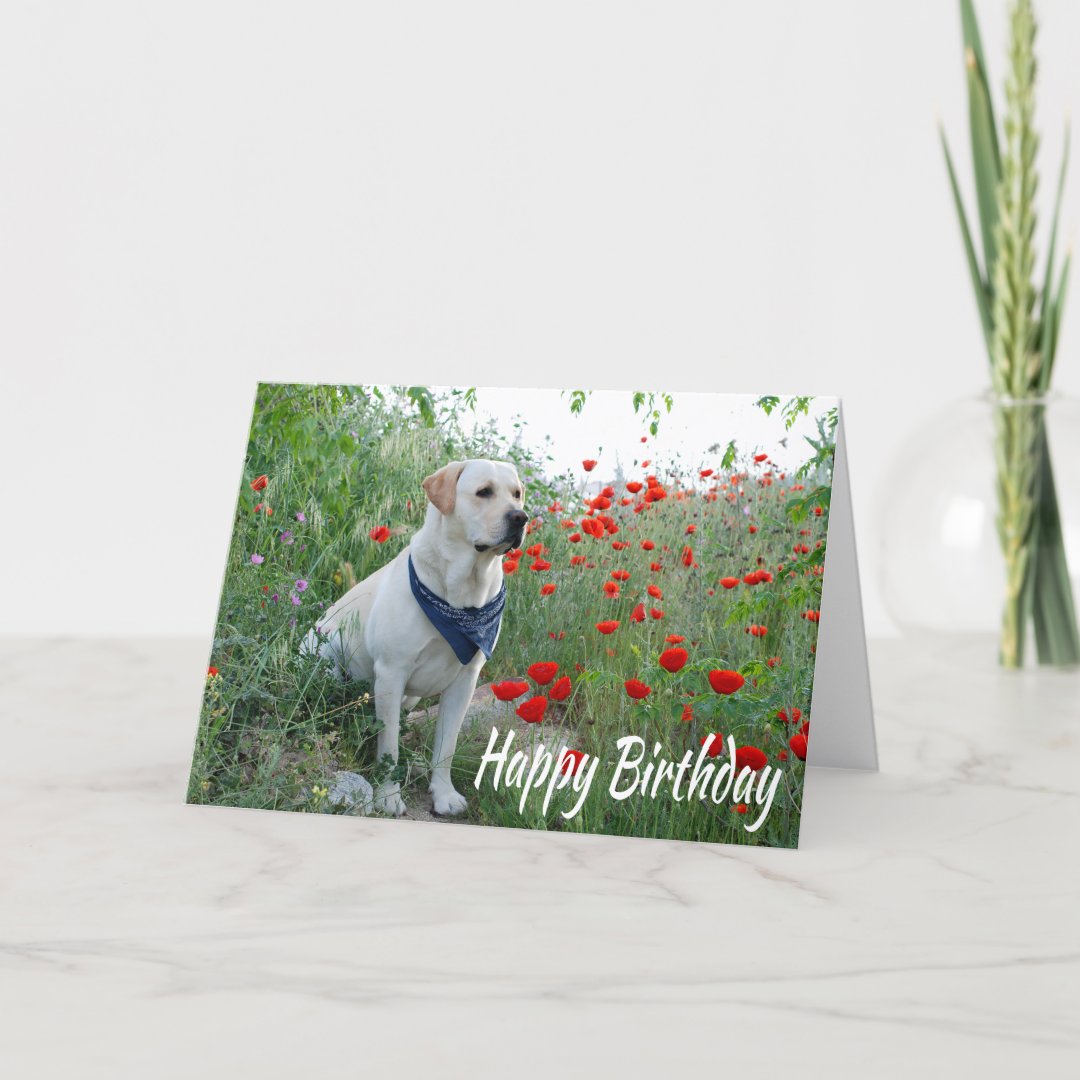 Happy Birthday Yellow Labrador Lab Puppy Dog Card | Zazzle