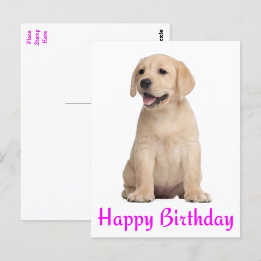 Happy Birthday Yellow Labrador Retriever Postcard | Zazzle