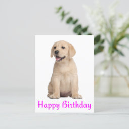 Happy Birthday Yellow Labrador Retriever Postcard | Zazzle
