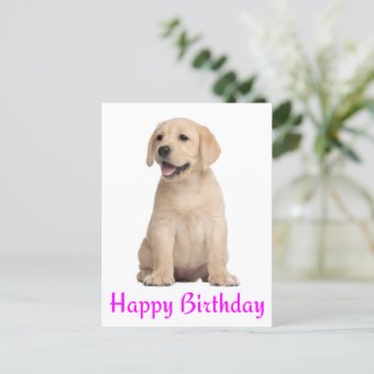Happy Birthday Yellow Labrador Retriever Postcard | Zazzle