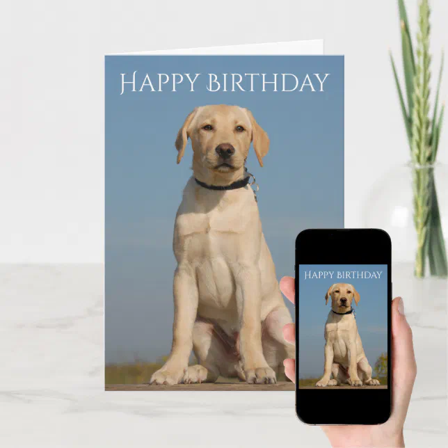Happy Birthday Yellow Labrador Retriever Puppy Dog Card | Zazzle