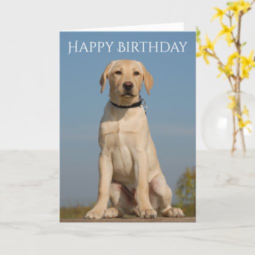 Happy Birthday Yellow Labrador Retriever Puppy Dog Card | Zazzle